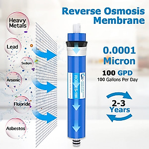 100 GPD RO Membrane Filter Replacement with Reverse Osmosis Membrane Housing, Wrench, 1/4" Quick-Connect Fitting, Check Valve, Fit Under Sink RO Home Drinking Water Filter Filtration Purifier System