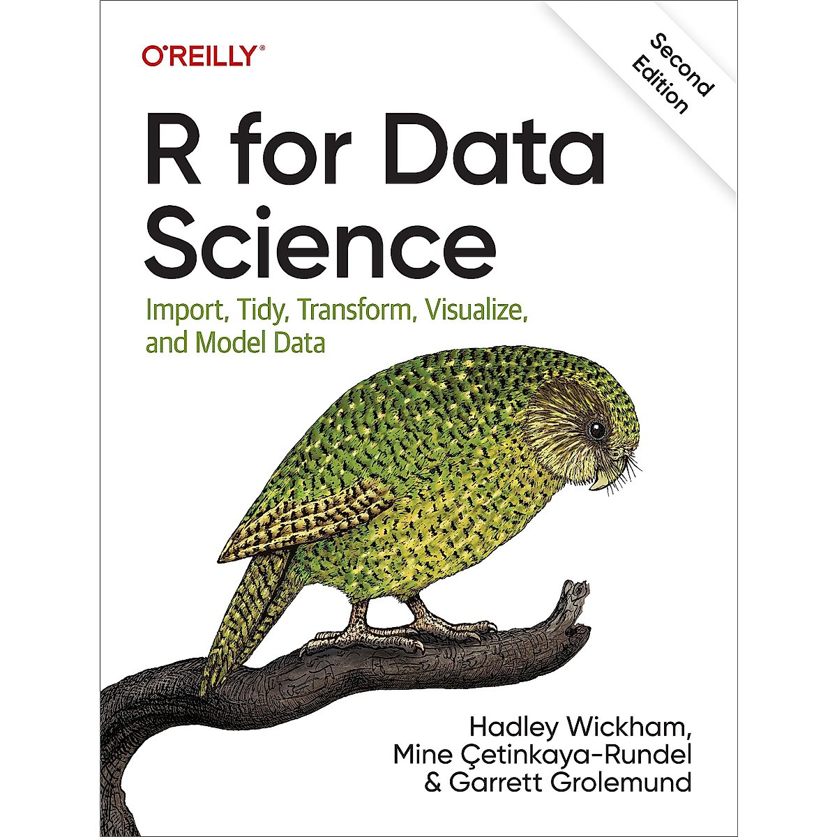R for Data Science: Import, Tidy, Transform, Visualize, and Model Data