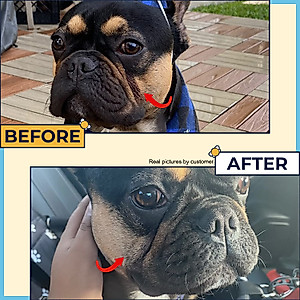 Bulldog Skin Care(Pack of 3-6oz)Wrinkle Paste for Bulldog+Dog Paw Balm Dogs & Dog Nose Balm+Skin Soother for Dog-Say Bye To Rash,Redness On French Bulldog &English Bulldog,Pug-Frenchie Dog Accessories