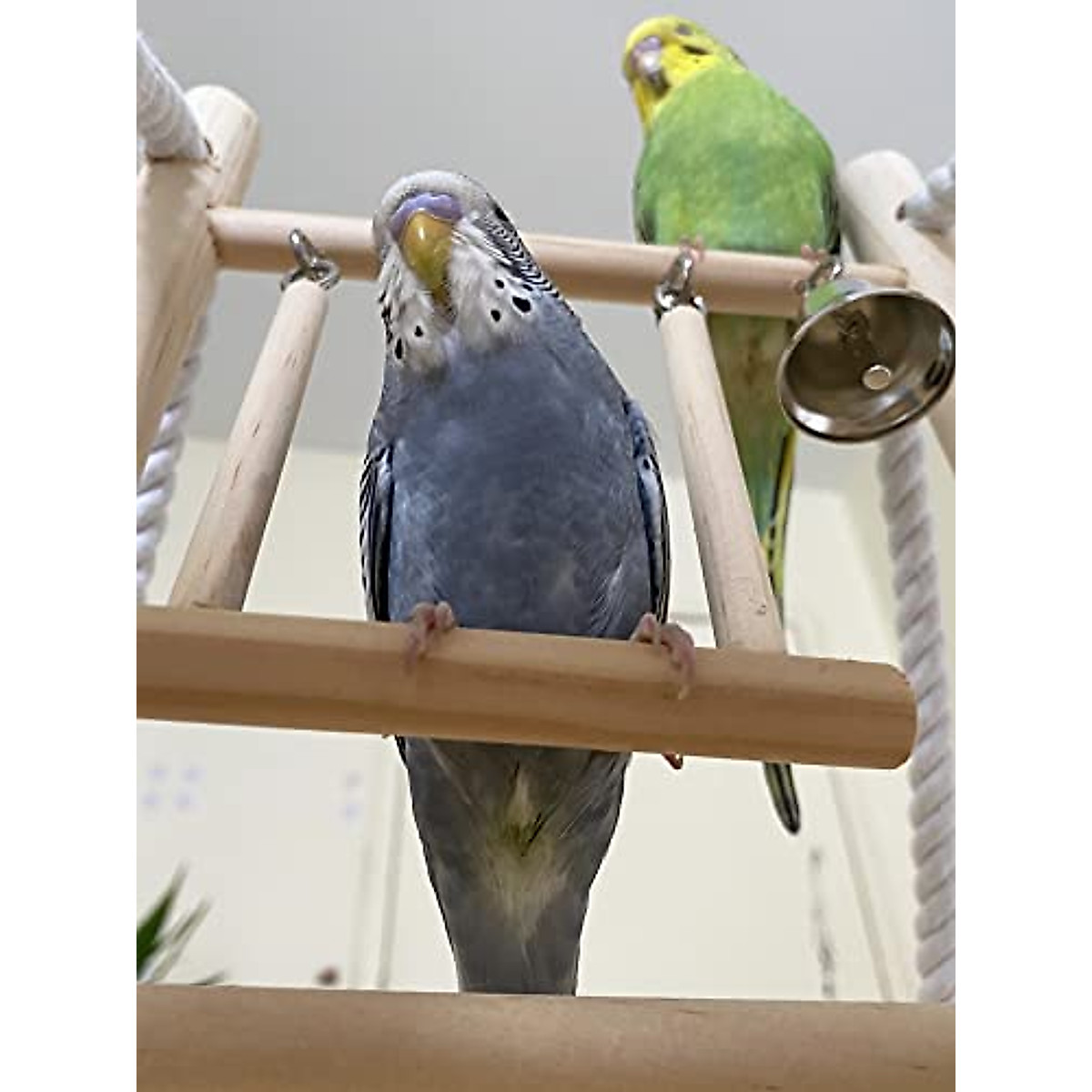 PENN-PLAX Bird Life Foldable Playpen – Perfect for Parakeets, Lovebirds, Cockatiels, and Conures – Great Storage Solution – Extra-Extra Large Size (Natural Brown)