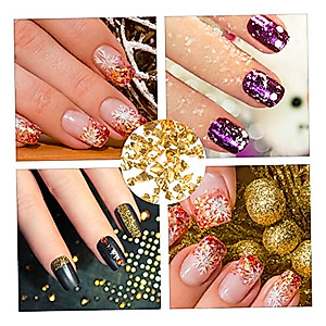 COHEALI 1 Set Nail Glass Gravel Stuffing for Crafts Stuffing Glass Decor Crushed Glass for Resin Art 3D Flakes Manicure Decals Holographic Chunky Glitter Crushed Glass Chips Epoxy