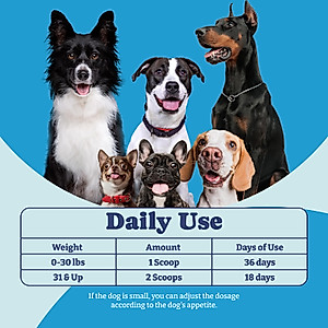 Supplements for Dogs, Dog Supplements Super Blend Powder 9 in 1, Vitamins for Dog, with Iceland Fish Powder, Support Gut Health, Hip and Joint, Multivitamin Support, 6.35oz, Fish Flavor