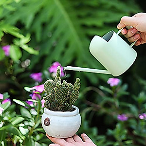 YISSSN Mini Bonsai Watering Can for Indoor Plants Stainless Steel, 10oz/300ml (Green)
