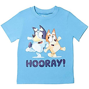 Bluey Toddler Boys T-Shirt and Mesh Shorts Outfit Set 2T