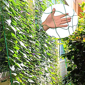 2 Pack Garden Plant Trellis Netting, (6 Feet x 16.5 Feet) Heavy-Duty Plant Support Vine Net for Climbing Plants, Garden Trellis Net for Plant Growing Flexible String Net