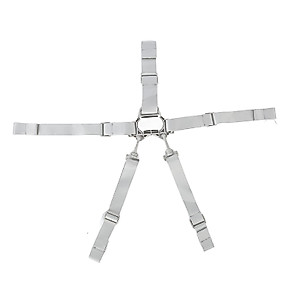 Universal High Chair Straps, 5 Point Baby Safety Strap Belt Safety and Comfort Material Portable for Pushchair for Stroller(White Button 5-Point Strap)