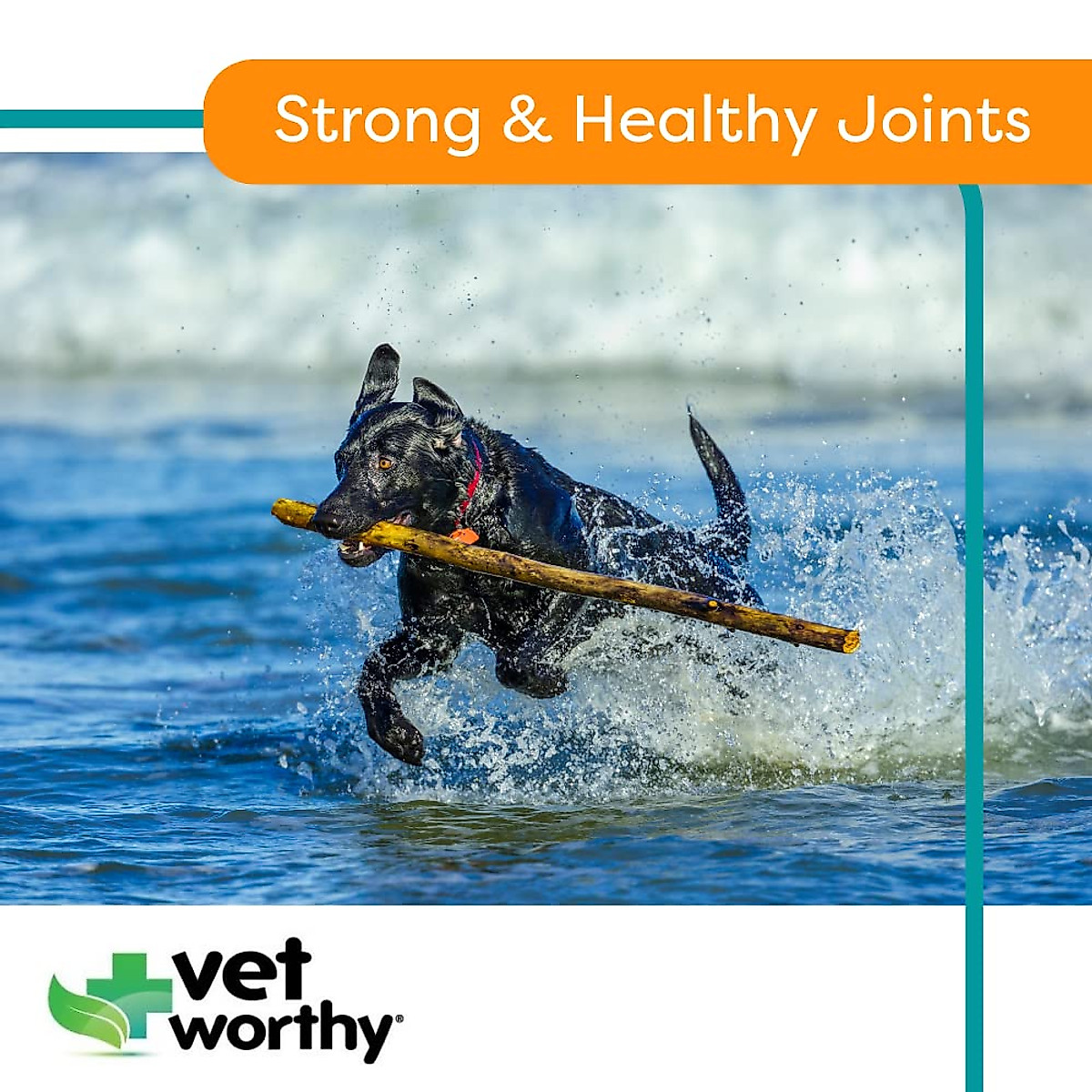 Vet Worthy Joint Support Level 2 Chewable Tablet | Supports Bone Health and Healthy Joints | Dog Supplement with Glucosamine, Chondroitin, MSM, Hyaluronic Acid | Liver Flavor 60 Count