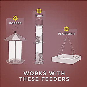 Audubon Park Sunflower Hearts & Chips Wild Bird Food, No Mess Sunflower Seeds for Birds, 5-Pound Bag