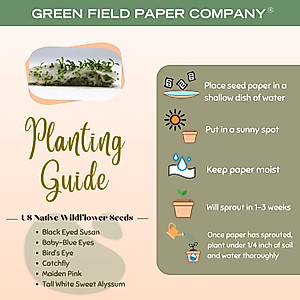 Green Field Plantable Seed Paper Hearts – 24 Cards & Envelopes Wildflower Tree Free Sustainable Art Paper for Wedding, Birthday, Bridal Shower, Life Celebration Favors, Funeral Thank You Cards