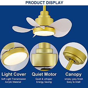 Ceiling Fan With Lights and Remote,Large Airflow 22inch Quiet Reversible Noiseless DC Motor 5 Blades Ceiling Fans for Indoor Bedroom Living Room Room Patio(White Gold)