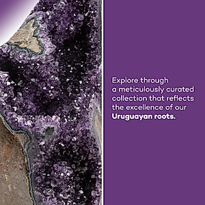 EMPORION Natural Amethyst (3 lb to 4 lb) - 4.5" to 7.5" Height - Crystal Clusters Stone from Uruguay Raw Geode Quartz - Deep Purple Color