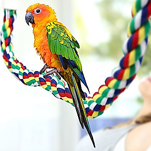 Weewooday 2 Pieces Toy Bird Rope Perches Climbing Rope Bungee Bird Toys Rope Perch Stand Cage Rope Comfy Perch Parrot Toys for Parrot, Parakeets Cockatiels, Conures (21.6 Inch)