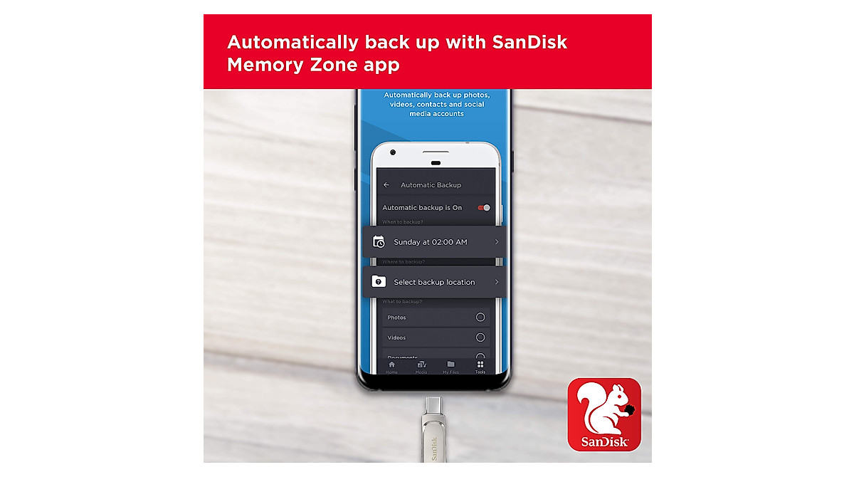 SanDisk 256GB Ultra Dual Drive Luxe - Fast Data Transfer