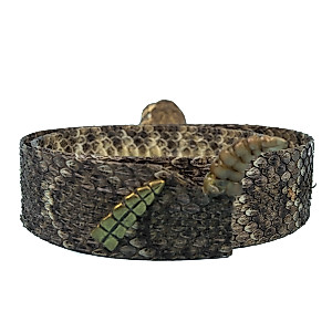 1.25" Rattlesnake Hat Band with Head & Rattle (598-HB204)