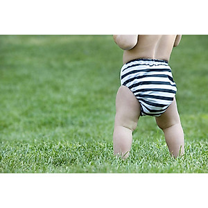 GroVia Reusable Hybrid Baby Cloth Diaper Snap Shell (Waverly), One Size