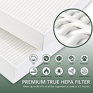 HPA200 HEPA Filter Replacement Compatible with Honeywell HPA200 HRF-ARVP200 Series Air Purifier HPA200, HPA201, HA202, HPA204, HPA250, HPA5200, 2 HEPA R and 4 Precut Carbon Pre-Filters A