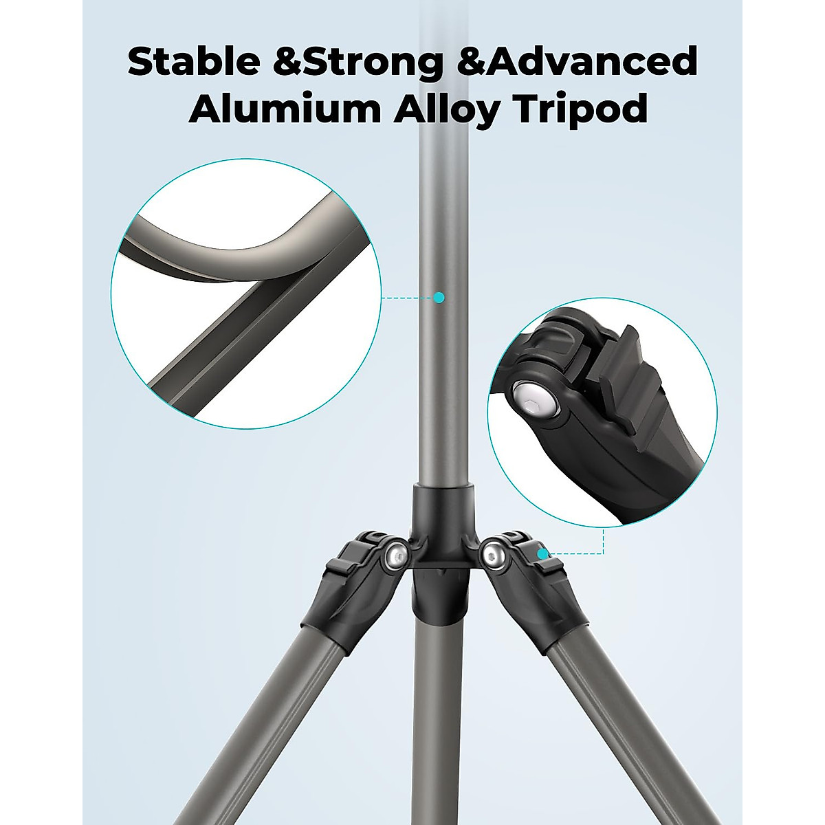 Viozon 12'' Ring Light with Extendable 79'' Tripod, Compatible with 3.5-6.7'' Phone &DSLR,Remote Control,Dimmable LED Selfie Circle Lights for YouTube/Tiktok/Photography/Zoom Meeting