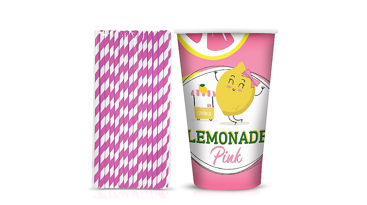 Complete Lemonade Stand Supplies Kit for Kids