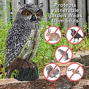 Galashield Owl Decoy | Plastic Owls to Scare Birds Away | Owl Statue for Garden & Outdoors