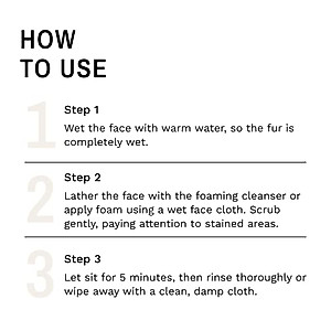 Eye Envy Tear Stain Facial Cleanser for Dogs and Cats | Washes Away Crusty Eye Debris, Eye Boogers and Eye Discharge | Tearless Foaming Formula | Treats The Cause of Staining | 100% Natural