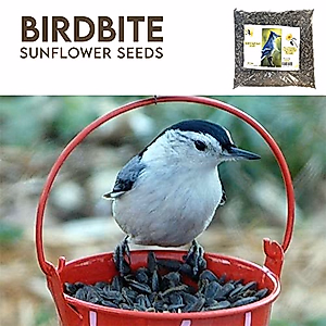 Black Oil Sunflower Seeds for Birds (10 Pound), Birds Seed for Outside Wild Birds, Birds Love Black Oil Sunflower Seeds for Their high-Fat Content, Nutrition Filled Bird Seed for Outside feeders