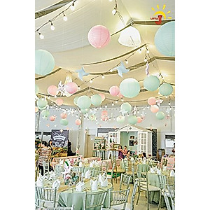 Twinkle Twinkle Little Star Gender Reveal Party Supplies Baby Shower Decorations Baby Blue Pink Paper Lanterns Pink Blue Gold Star Garland for Pink Blue Decorations/Gender Reveal Decorations