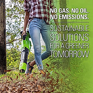 Greenworks 2 x 24V (48V) Cordless Axial Leaf Blower (125 MPH / 515 CFM / 125+ Compatible Tools), (2) 2.0Ah Batteries and Dual Port Charger Included