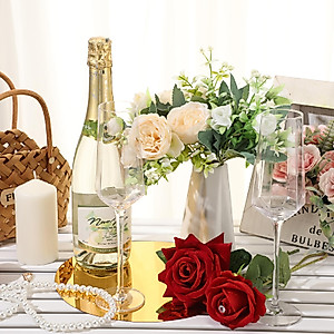 Thyle 12 Pcs 10 Inch Acrylic Round Mirrors for Tables Centerpieces Circle Mirrors Candle Plates for Wall Wedding Table Centerpieces Round Mirror Tray for Baby Shower Party, Thickness 1 mm (Gold)