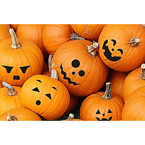 Halloween Pumpkin Stickers Crafts Decorations -Make Your Own Jack-O-Lantern - Trick or Treat Party Supplies 64Ct