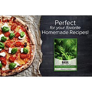 Basil Seeds for Planting (Large Leaf) Heirloom Non-GMO Herb Plant Seeds for Home Herb Garden Indoors, Outdoors, and Hydroponics by Gardeners Basics