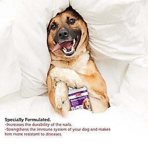 Bio Pet Active BiodermDOG 0.5 Zinc and Biotin Tablets for Dogs, Immune System, Skin, Coat and Nail Support for Dogs, 1.32 oz, 75 Chewable Tablets