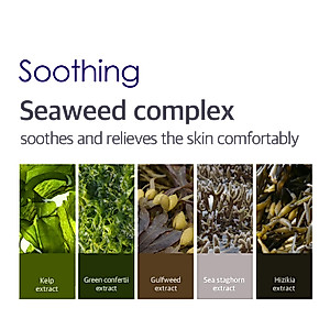 Petitfee Agave Cooling Hydrogel Eye Mask