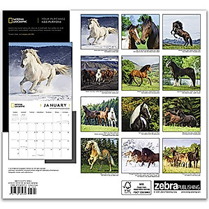National Geographic Horses 2021 Wall Calendar
