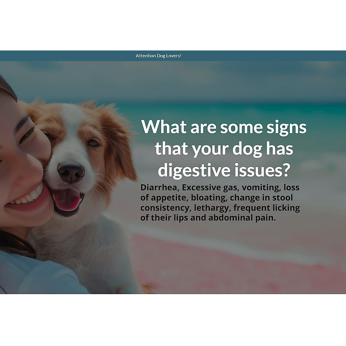 Barking Hugs Digestive Chews - Natural Probiotic & Prebiotic Enzyme Treats for Dogs - 6 Digestive Enzymes - Helps with Itching, Allergies, Gut Health, Digestion & Diarrhea