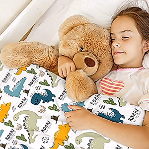 Dinosaur Blanket for Boys Girls, 300 GSM Soft Fleece Kids Blanket, Baby Boy Blanket is Suitable for Toddler Couch , Cute Blanket for Sofa Bedroom Living Room, Dinosaur Gifts for Children, 50"x40"