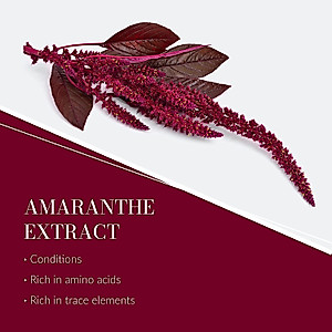 Leonor Greyl Paris - Shampooing Reviviscence - Specific Shampoo for Dehydrated, Damaged and Brittle Hair - Moisturizing and Hydrating Shampoo (6.7 Oz)