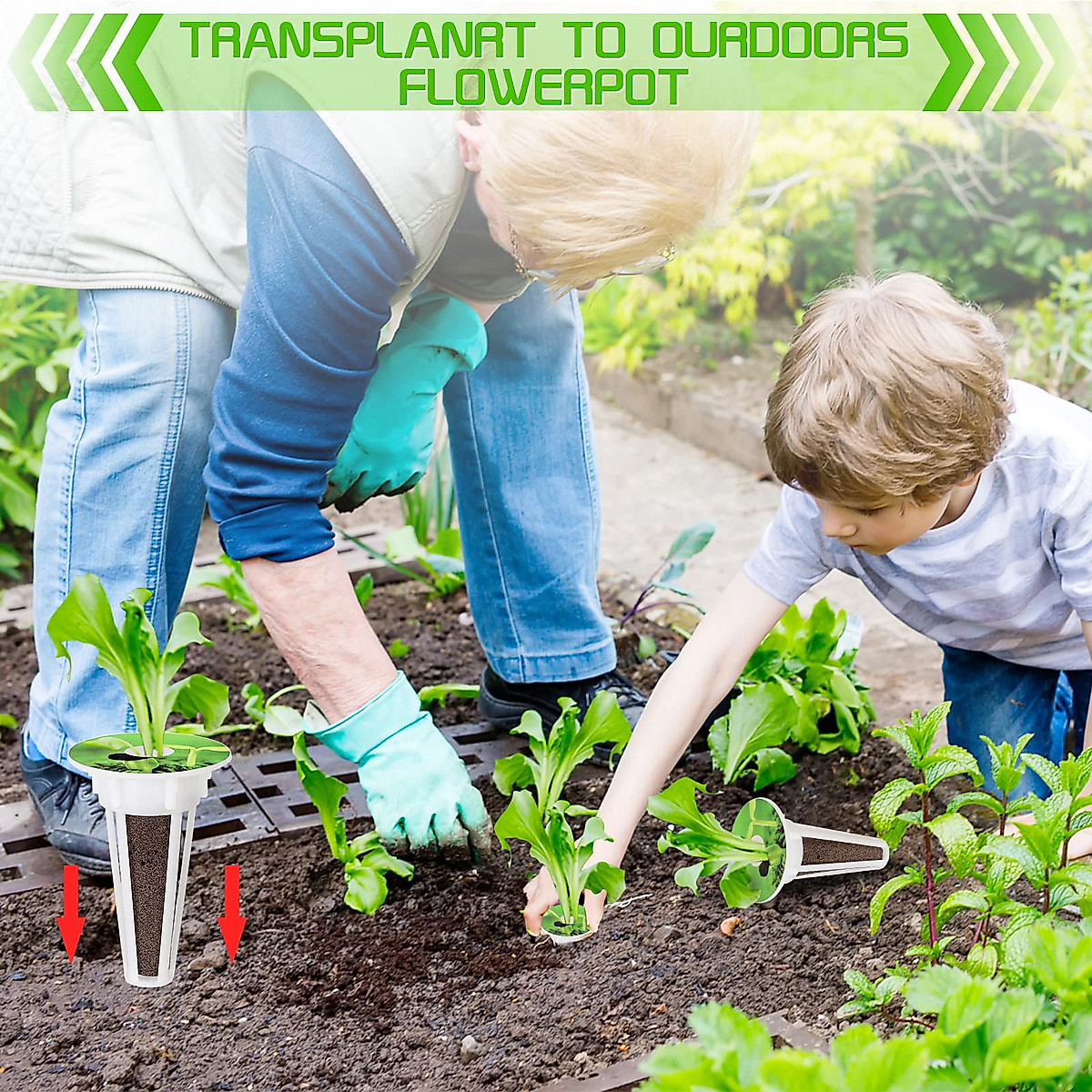 160 Pcs Seed Pod Kit for AeroGarden, Suitable for Hydroponics Growing System for a Variety of Plants, Outdoor and Indoor Hydroponics Supplies