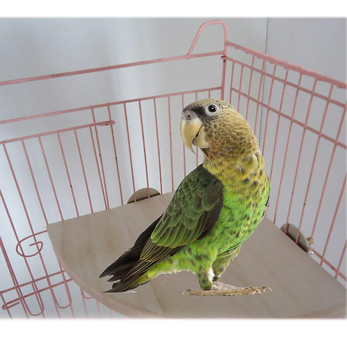 CoscosX Parrot Cage Perch,Wooden Platform Stand,Cage Perches,Tree Springboard,Corner Shelf Laddered,Hanging Swing,Natural Wood Branches for Parakeets Bird Chinchilla Hamster Guinea Squirrel Hedgehog