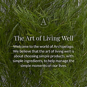 Archipelago Botanicals Charleston Reed Diffuser, Home Fragrance Reed Diffuser, Includes Fragrance Oil, Frosted Glass Vessel & 10 Diffuser Reeds, Perfect for Home, Office or Gift, 7.6 Fl Oz