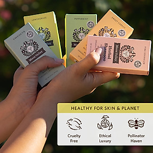 Moon Valley Organics HERBAL SHAMPOO BAR - LEMONGRASS CHARCOAL (2PACK)