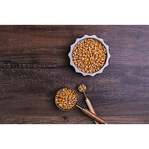 Amish Country Popcorn | 2 lb Bag | Medium Yellow Popcorn Kernels | Old Fashioned, Non-GMO and Gluten Free (Medium Yellow - 2 lb Bag)