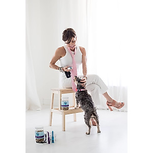 Doggie Don't Device- Handheld Sound Only Dog Training Corrector- Better and More Humane Than a Shock Collar- Stop Barking and Other Naughty Behaviors - Created by a Dog Lover in The USA