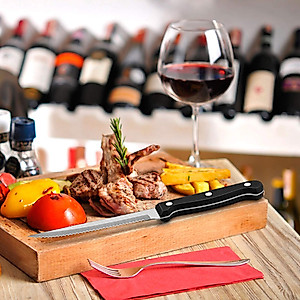 LIANYU Steak Knives Set of 4, Stainless Steel Serrated Steak Knife, kitchen Camping Restaurant Steak Knives, Dishwasher Safe