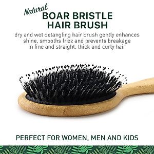 Natural Boar Bristle Hair Brush for Women, Men, Kids; Dry and Wet Detangling Hair Brush Gently Enhances Shine, Smooths Frizz and Prevents Breakage in Fine and Straight, Thick and Curly Hair (oval)