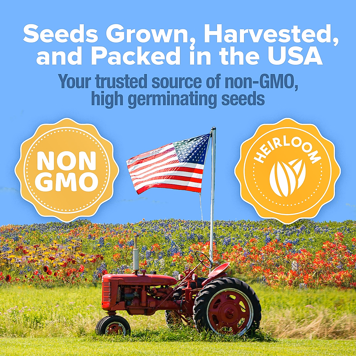 HOME GROWN Wildflower Seeds (3oz) 89,000+ Flower Seed Mix | No Filler | 19 Varieties, USA-Sourced Bulk Wild Flowers Seeds for Planting, Butterfly & Pollinator Perennial and Annual Wild Flower Mix