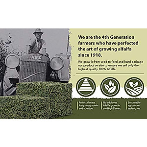 High Desert Alfalfa Hay - Dried Natural Alfalfa Hay for Rabbits, Guinea Pigs, Chinchillas, and Ferrets - Protein and Fiber Rich Food for Small Animals - Healthy Pet Food