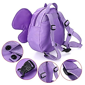 Hipiwe Baby Anti-Lost Backpack Butterfly Walking Safety Belt Harness Toddler Reins Strap with Leash (Purple)