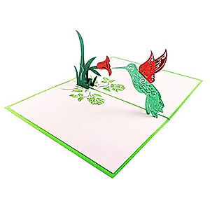 iGifts And Cards Season’s Greetings Hummingbird 3D Pop Up Greeting Card – Merry Christmas, Happy Holidays, Feliz Navidad, Joy, Hope, Unique, Special