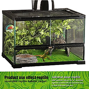 REP BUDDY 2 Pack Rainforest Tropical Reptile Carpet Mat Substrate, Terrarium Liner Bedding, for Lizard,Chameleon,Gecko,Snake,Ceratophrys with Tweezers Feeding Tong (10 Gallon(21.5x11.5in))