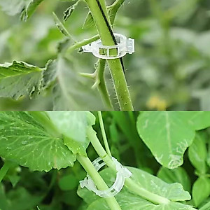 GXXMEI 302PCS Plastic Trellis Plant Support Clips for Support, Grape And Tomato Vine, Vegetables Plants, Garden lips to Grow Upright Makes Plants Healthier